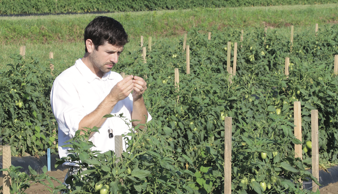 Tom Bilbo - Vegetable Growers News