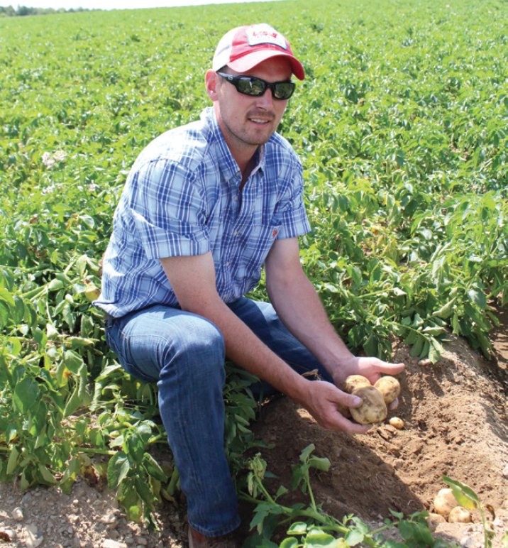 Robbie Irving - Vegetable Growers News