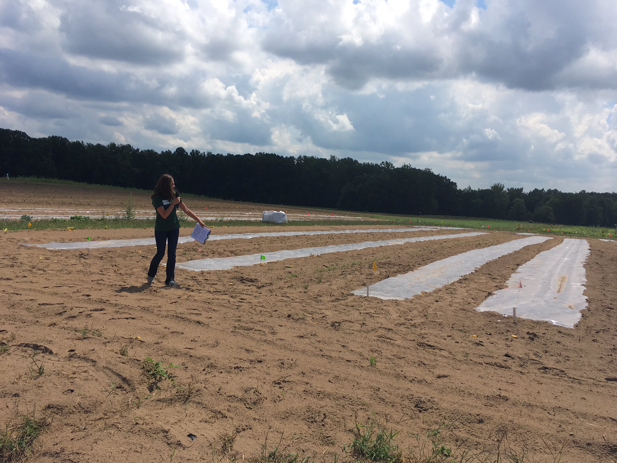 DHSjvepXsAAiuqG - Vegetable Growers News