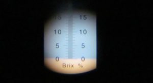 Using °Brix as an indicator of vegetable quality - Vegetable Growers News