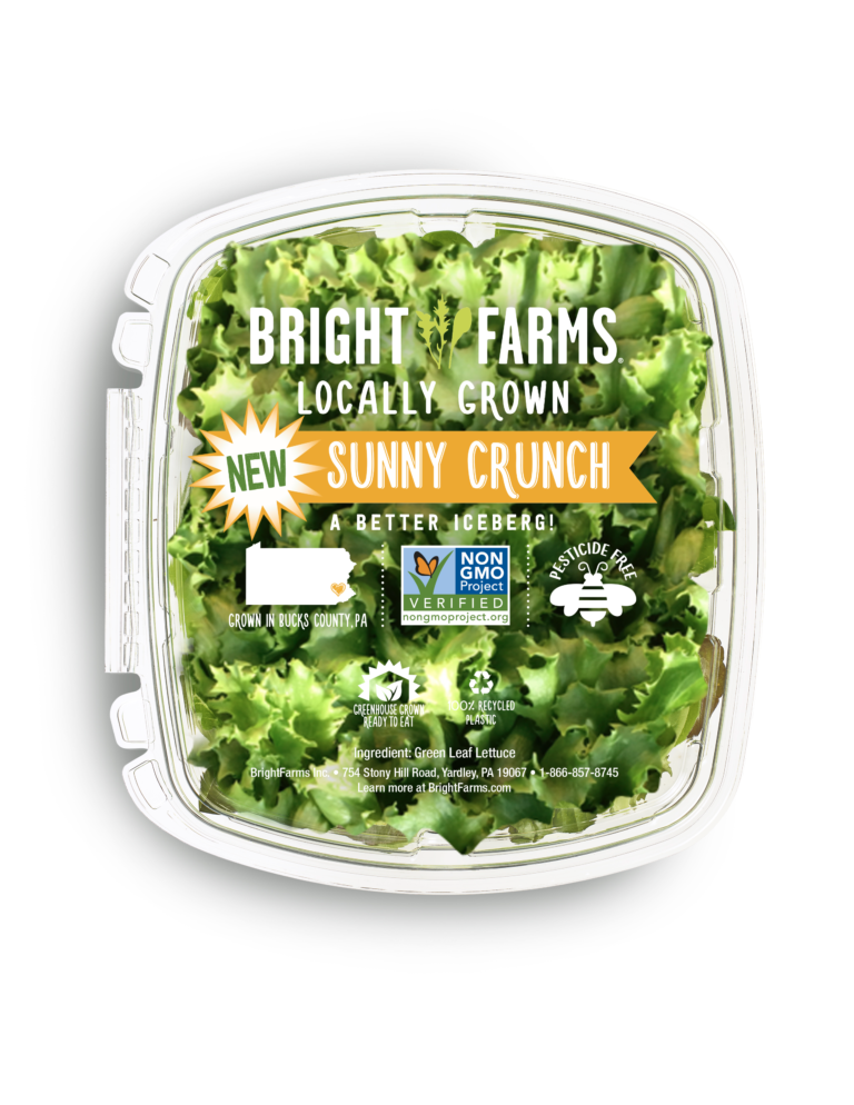 BrightFarms launches new crunchy iceberg baby leaf - Vegetable Growers News