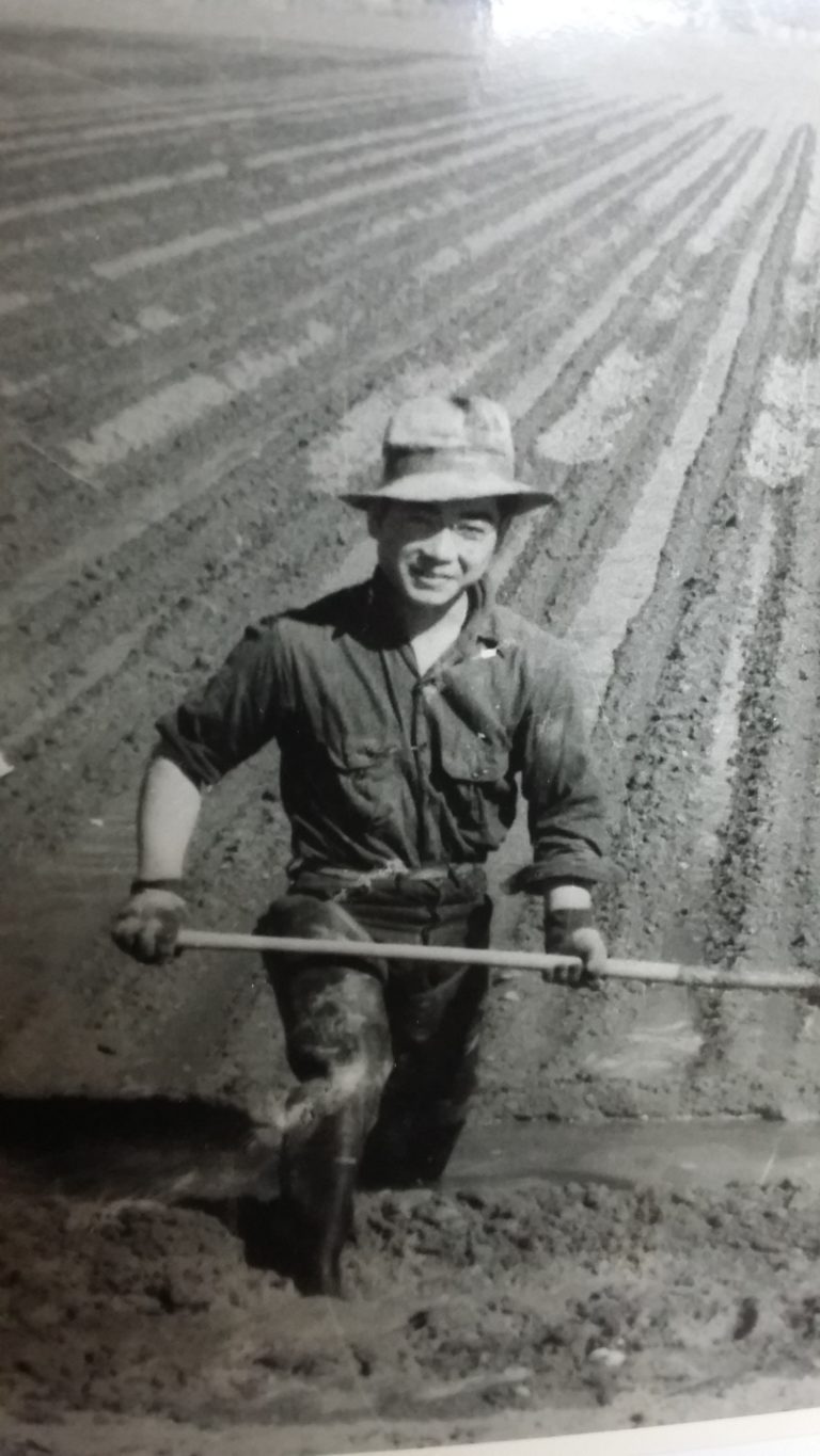 Sakata Farms honored as a ‘trailblazer’ - Vegetable Growers News