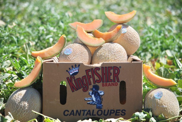 Fisher Ranch uses AgroFresh’s technology to get high-quality melons ...