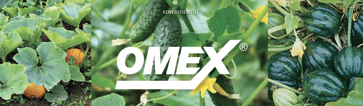 Fertilizer with benefits? - Vegetable Growers News