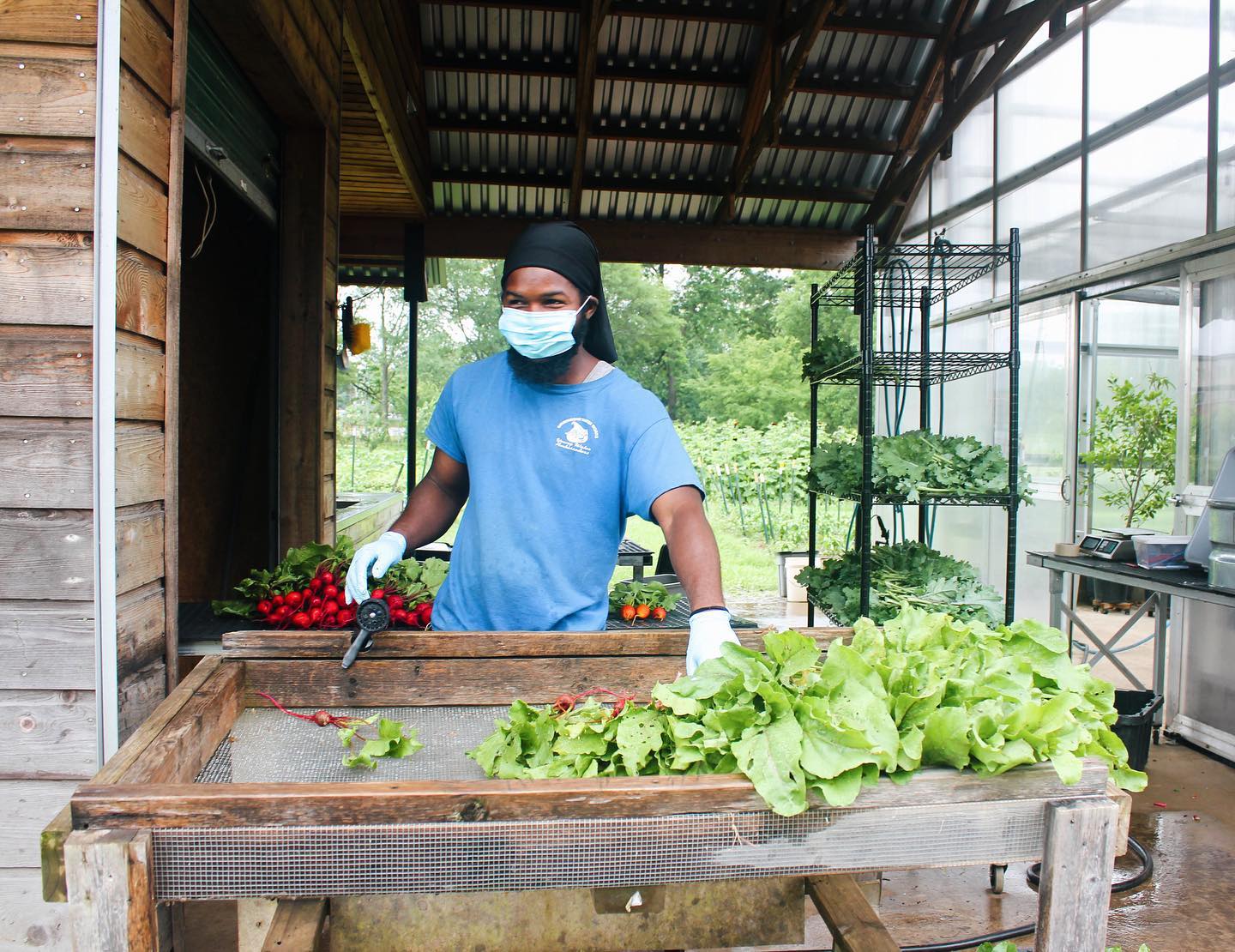 First Impact Award Laureates announced by Produce Marketing Association ...