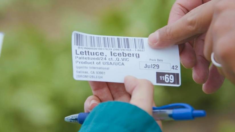 traceability-label-analysis2 - Vegetable Growers News