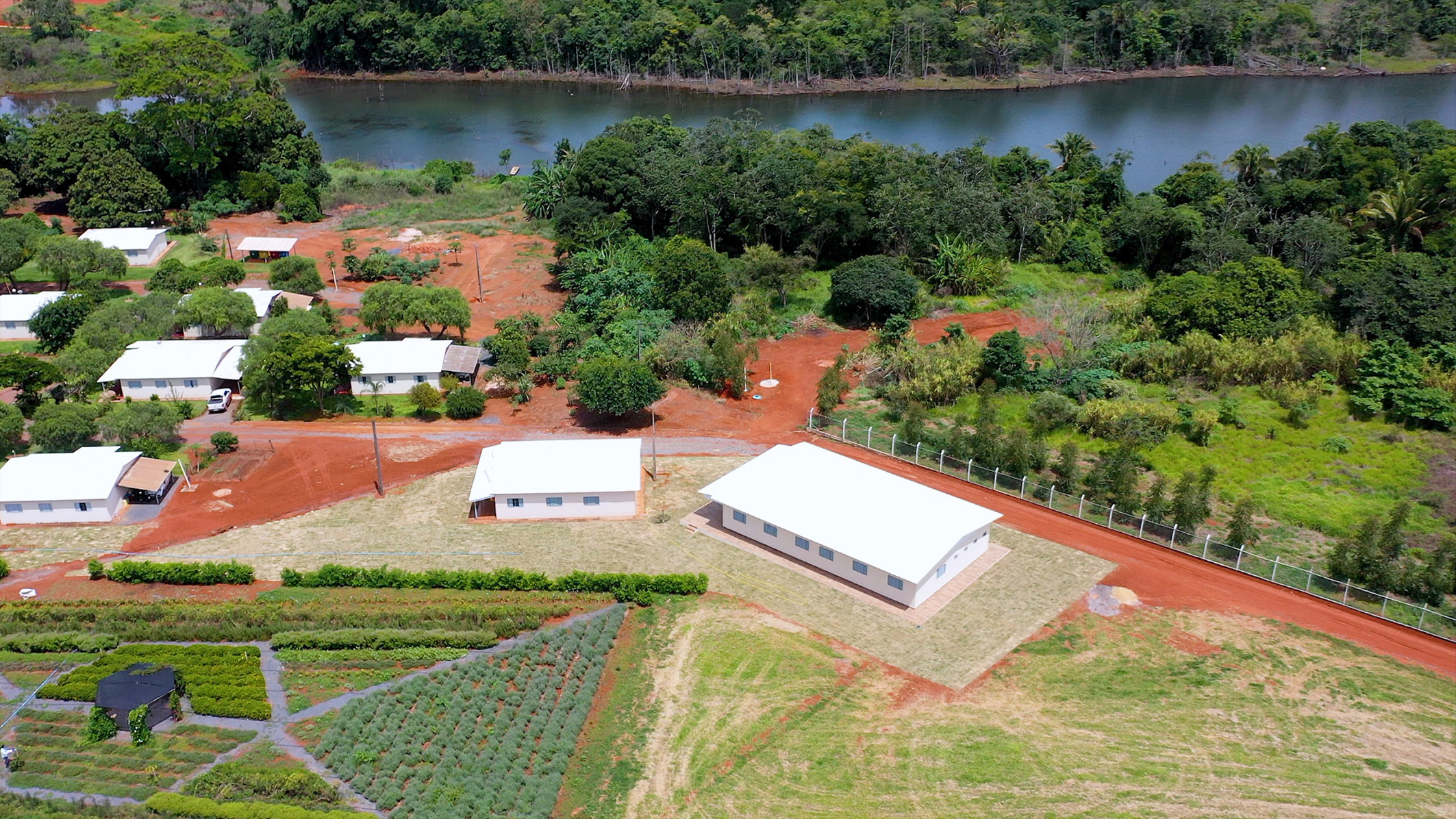 New bee species discovered by scientist on Bayer partner farm in Brazil ...