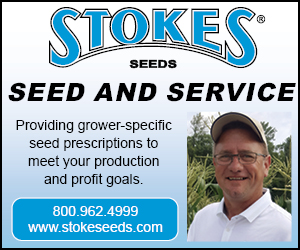 Stokes_Feb2021 - Vegetable Growers News