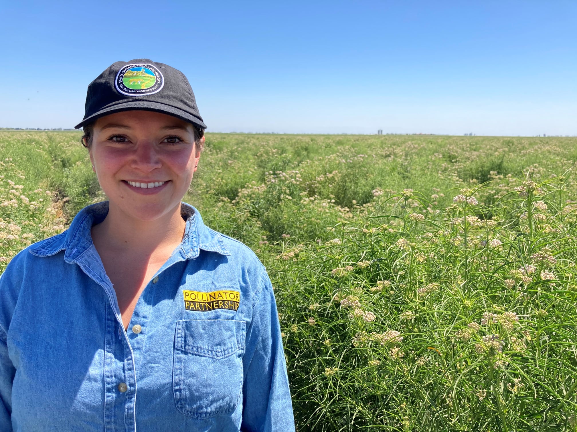 Kelly Rourke takes over as executive director of Pollinator Partnership ...