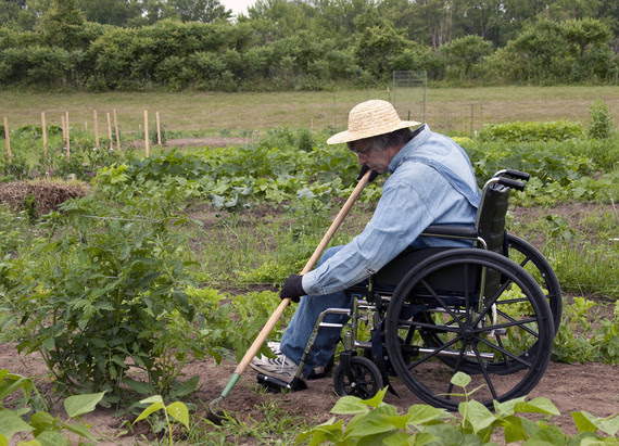 Those dealing with disabilities benefit from NIFA funds - Vegetable ...