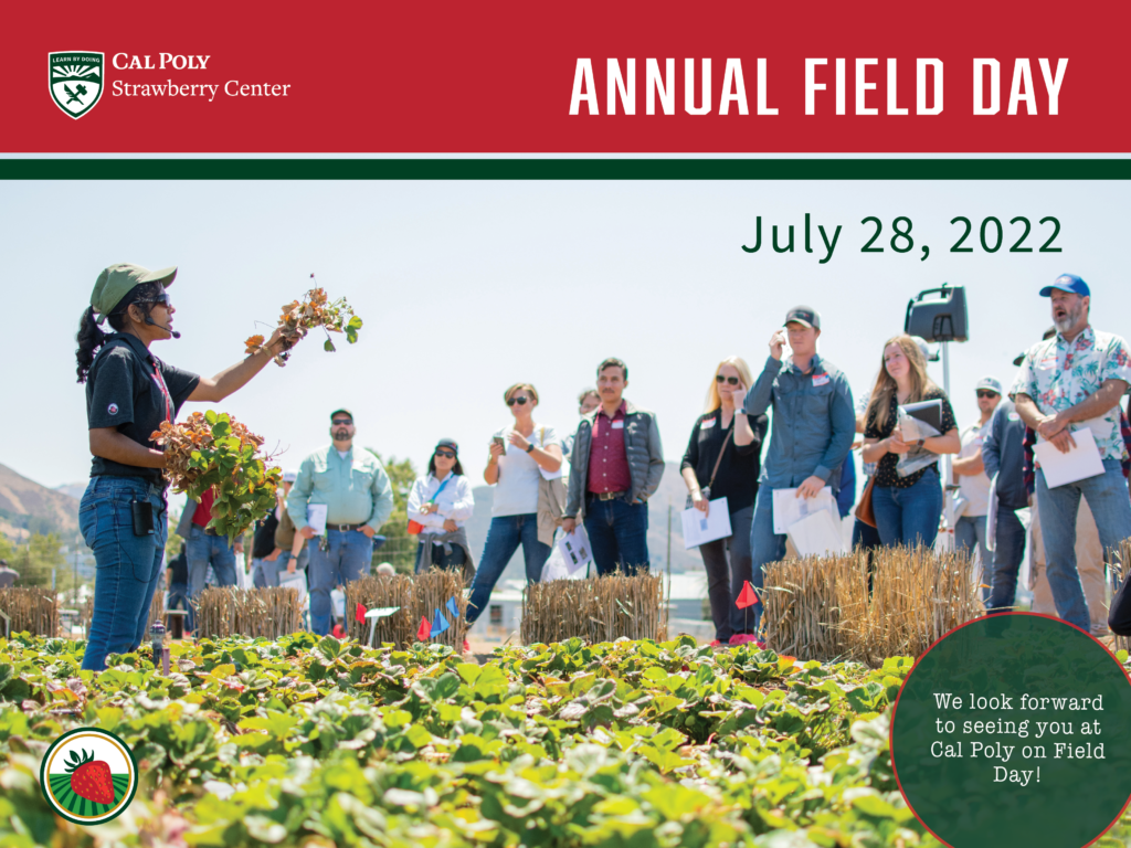Cal Poly sets annual Strawberry Center Field Day - Vegetable Growers News