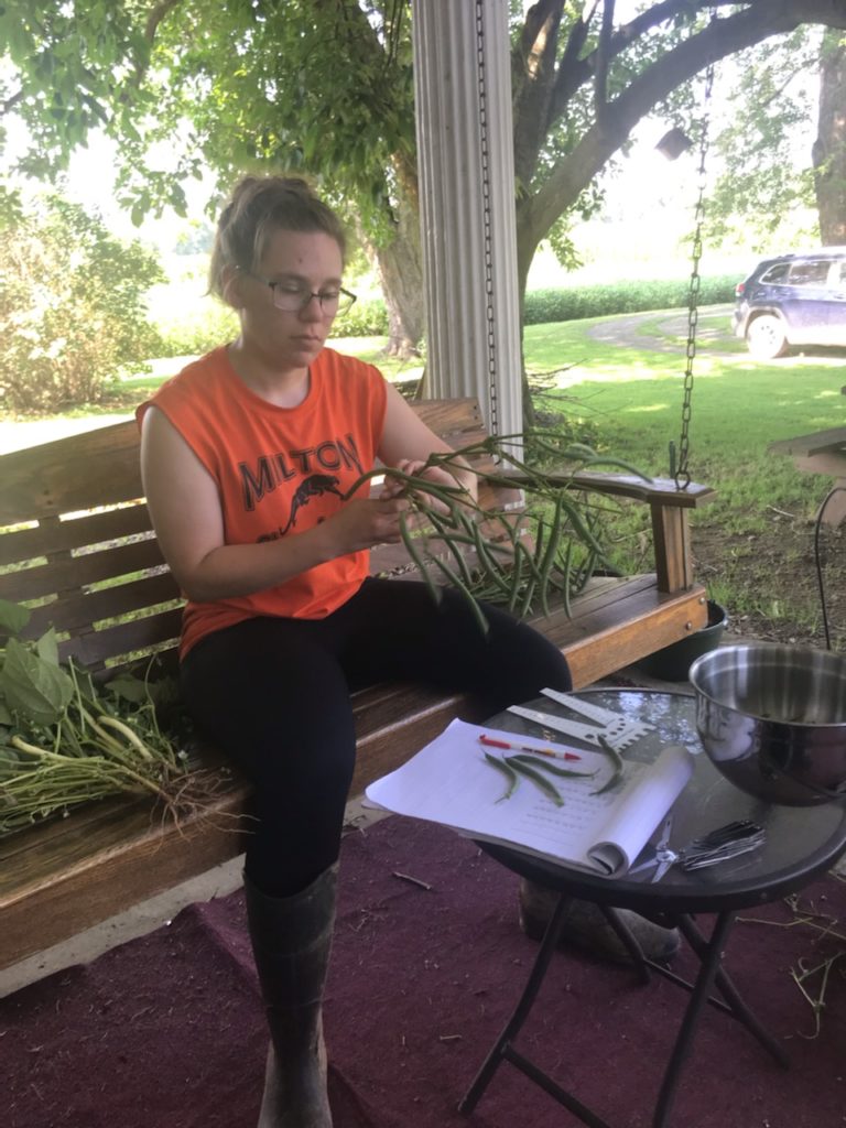 Cover crops help Pennsylvania’s Anchor Farms - Vegetable Growers News