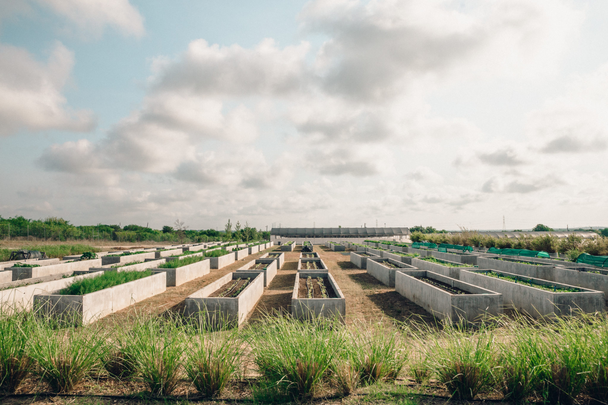 Fourteen Acres’ bounty - Vegetable Growers News