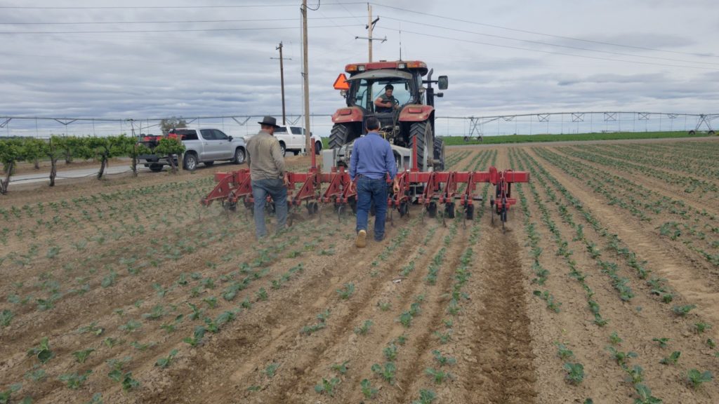 Growers learn about adopting regenerative practices - Vegetable Growers ...