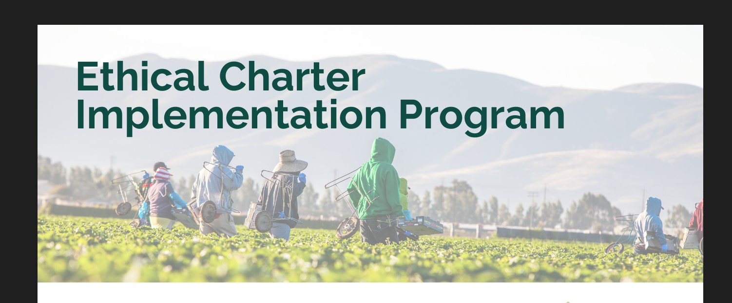 Ethical Charter Implementation Program started - Vegetable Growers News