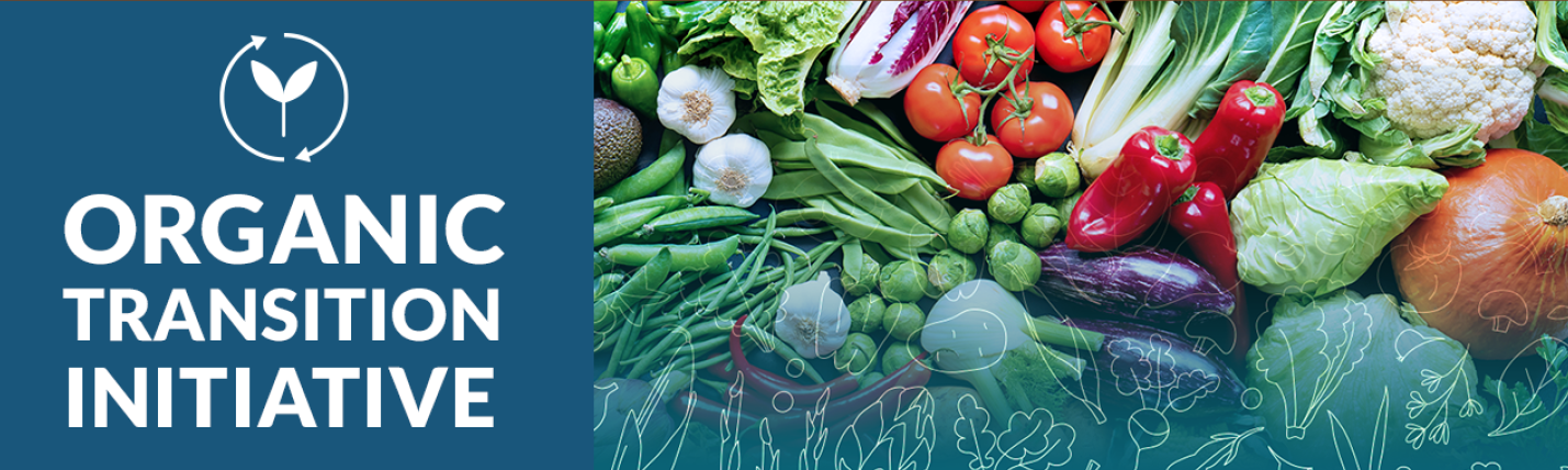 USDA Organic Transition Initiative logo - Vegetable Growers News