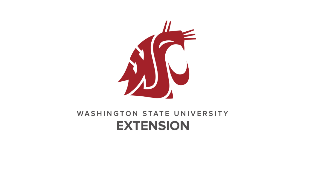 WSU Extension Onion Field Day scheduled - Vegetable Growers News