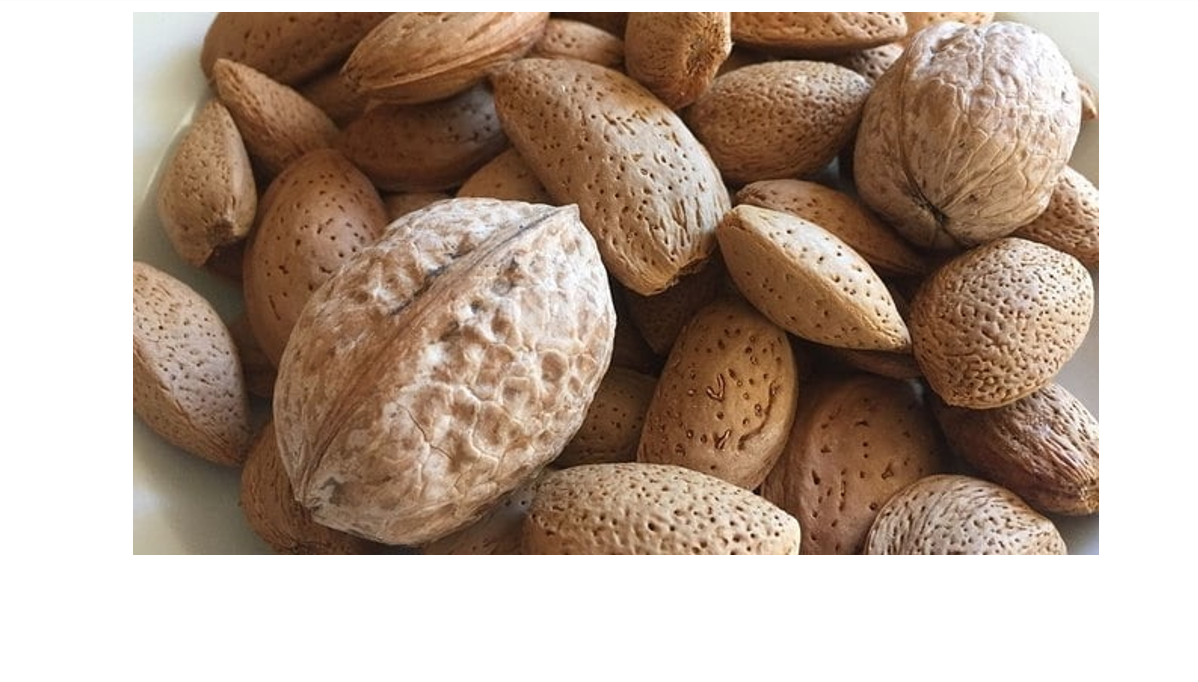 Higher demand seen for organic California walnuts - Vegetable Growers News