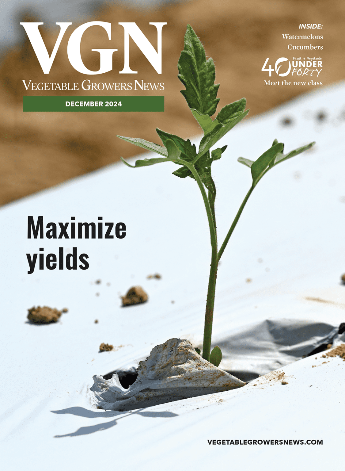 December 2024 - Vegetable Growers News