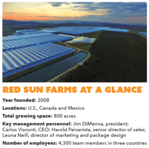 Vertically integrated greenhouse operations at Red Sun Farms ...