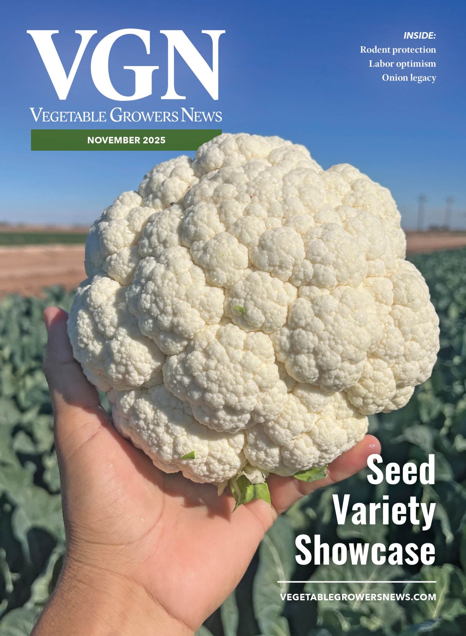 November 2025 - Vegetable Growers News
