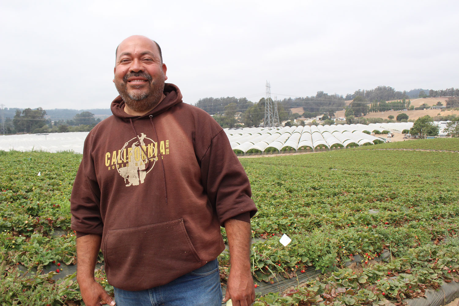 California grower taps talents, resources to find success - Vegetable ...