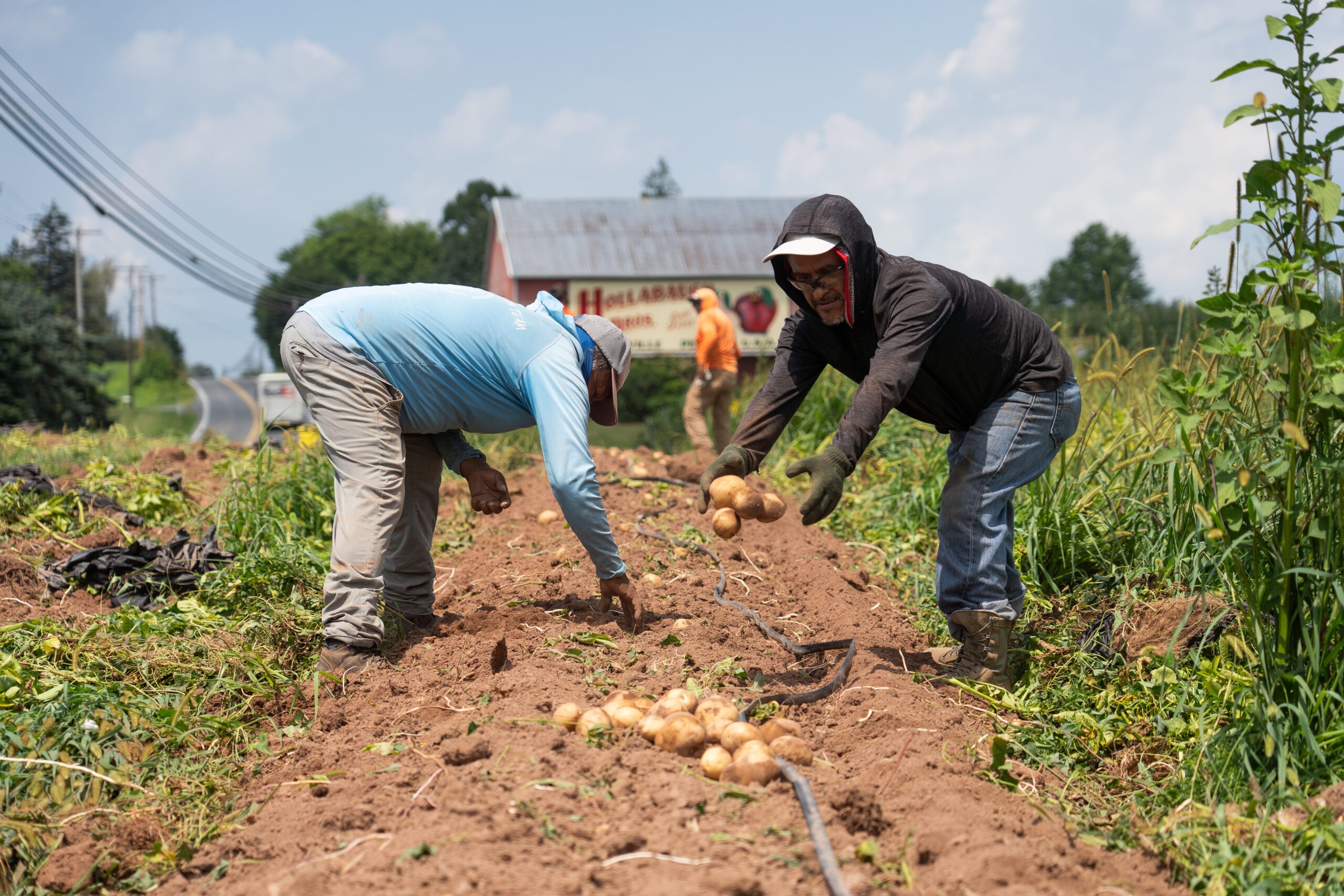 Farm advocates seek $5 billion in specialty crop relief- Vegetable ...