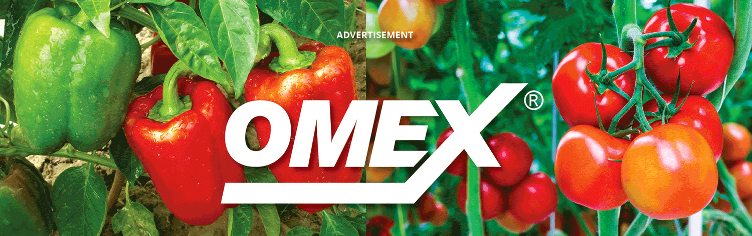 Holistic is the new normal - Vegetable Growers News