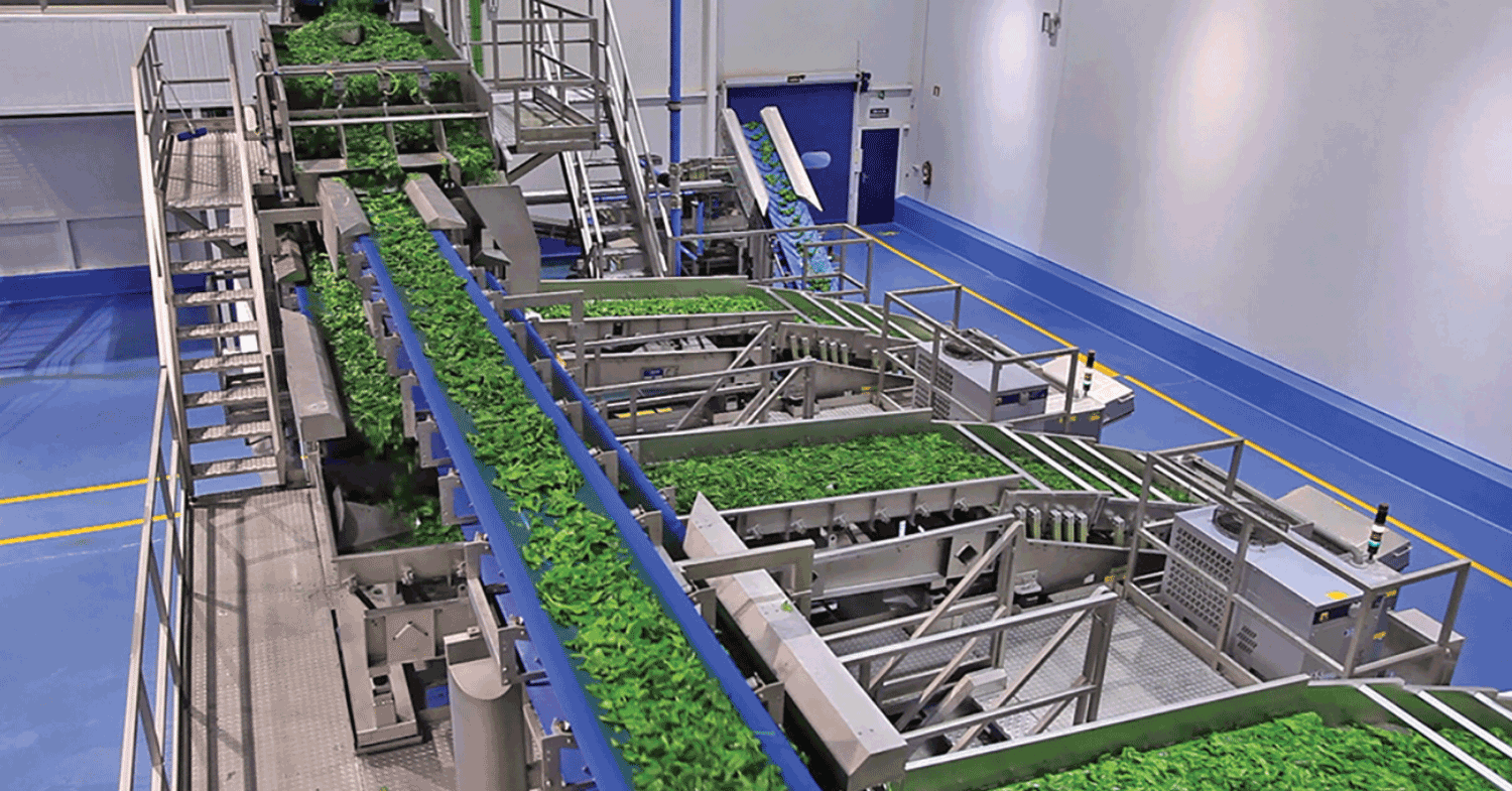 Vegetable crop protection technology - Vegetable Growers News