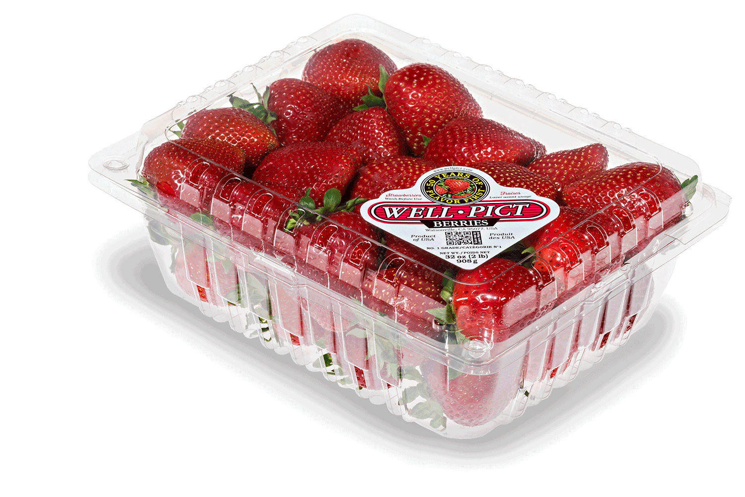 Disease-resistant strawberries released by Well-Pict - Vegetable ...