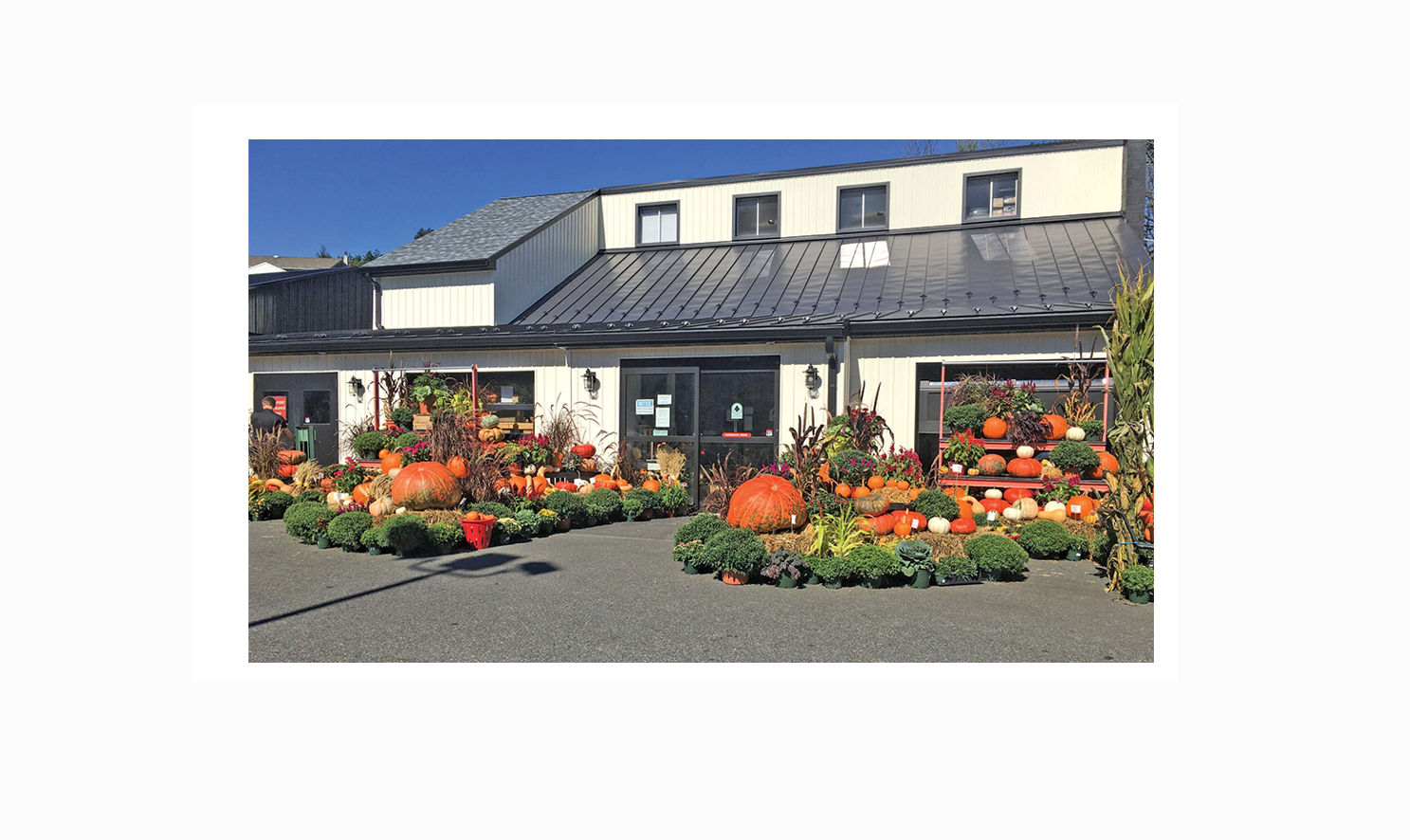 farm market pricing survey results